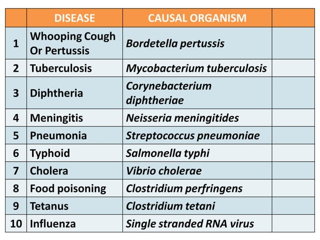 Common Human Diseases | PDF | Infectious Diseases | Diseases and Conditions