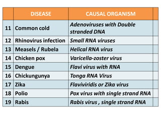 Common Human Diseases | PDF