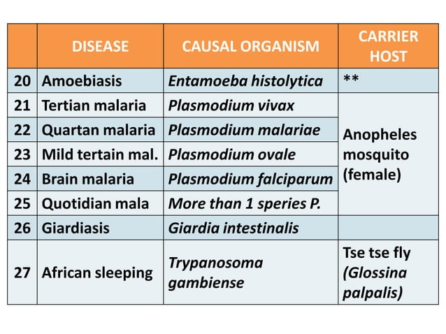 Common Human Diseases | PDF | Infectious Diseases | Diseases and Conditions