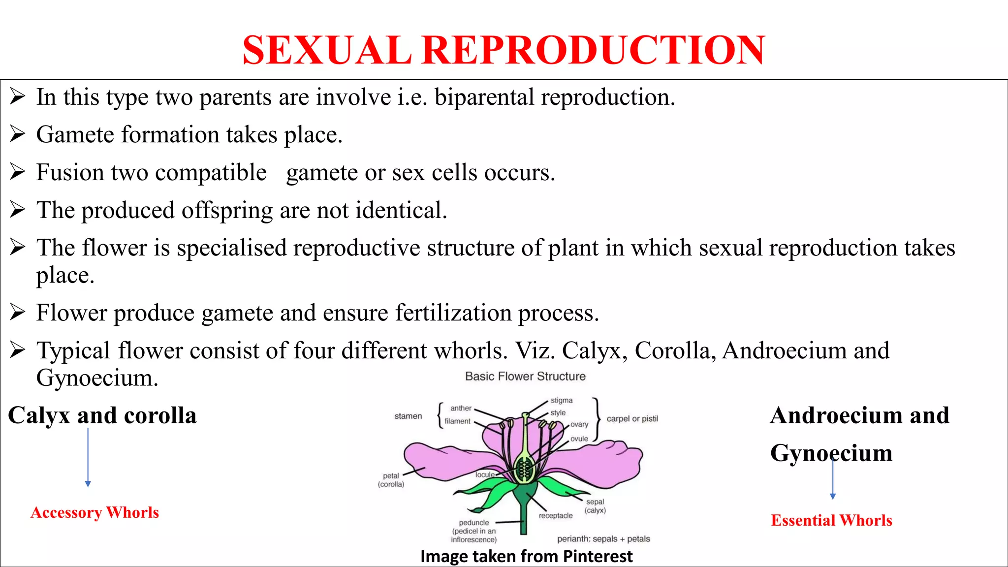 1. Reproduction in Lower and higher plants | PDF