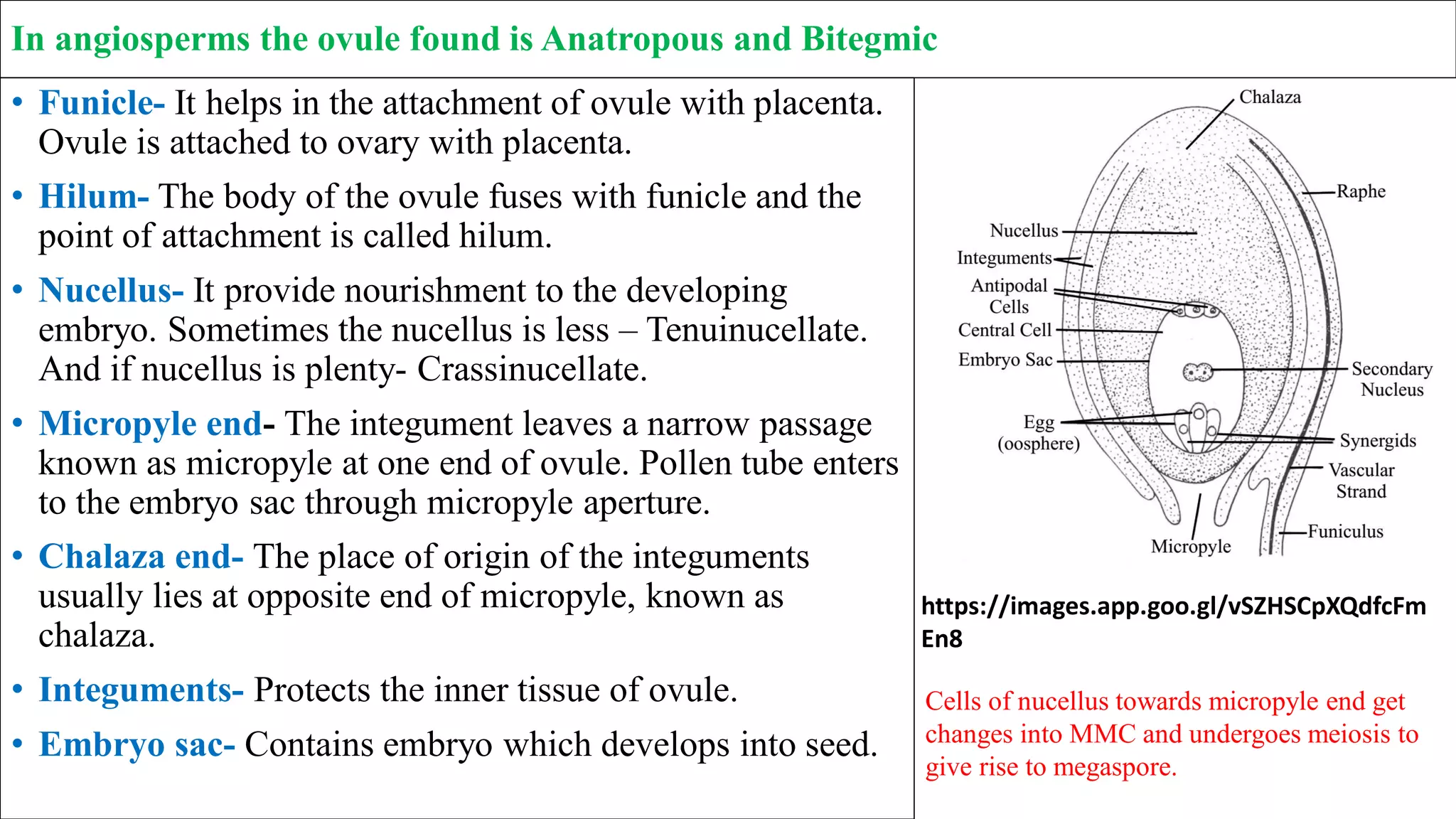 1. Reproduction in Lower and higher plants | PDF