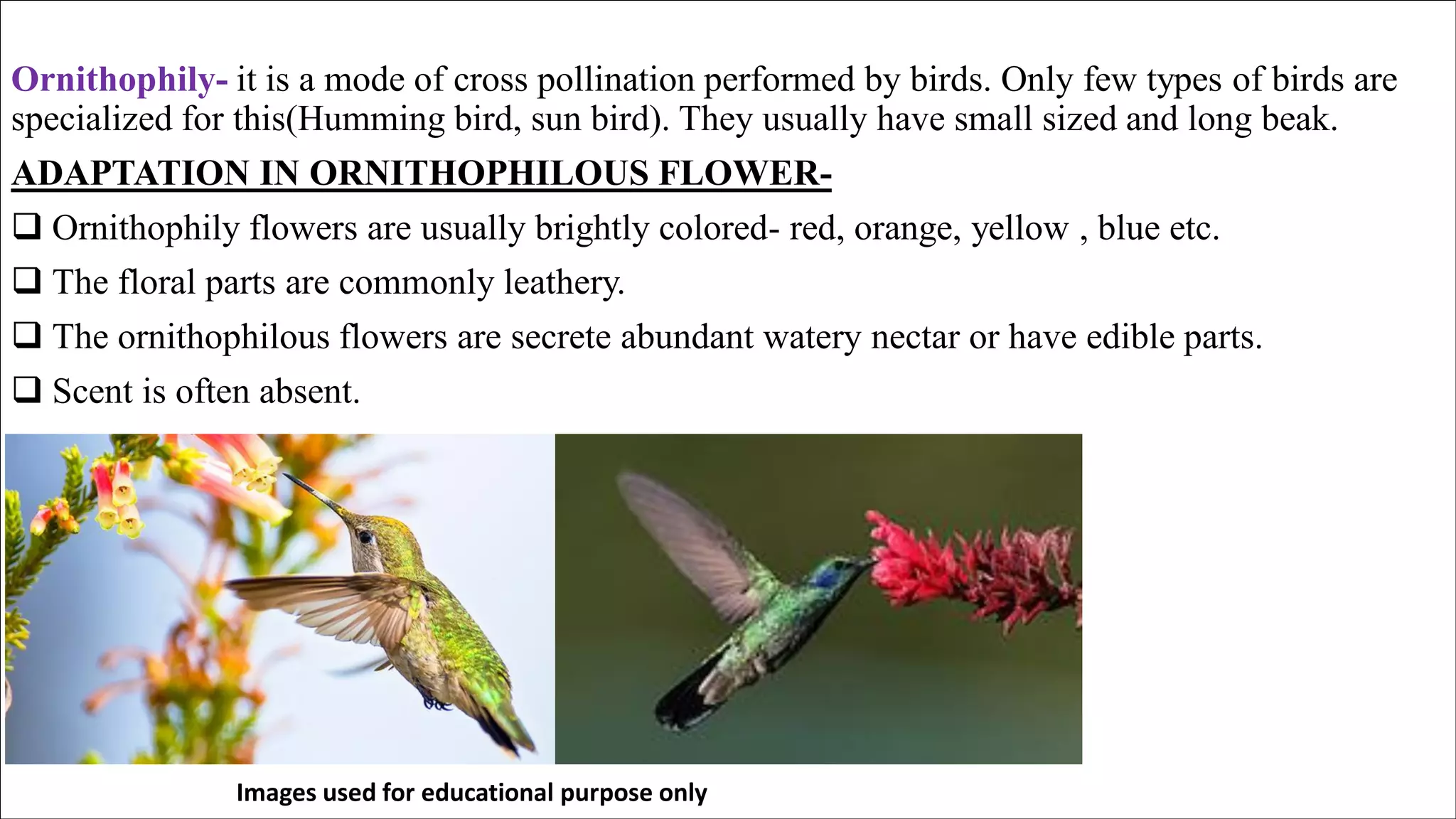 1. Reproduction in Lower and higher plants | PDF
