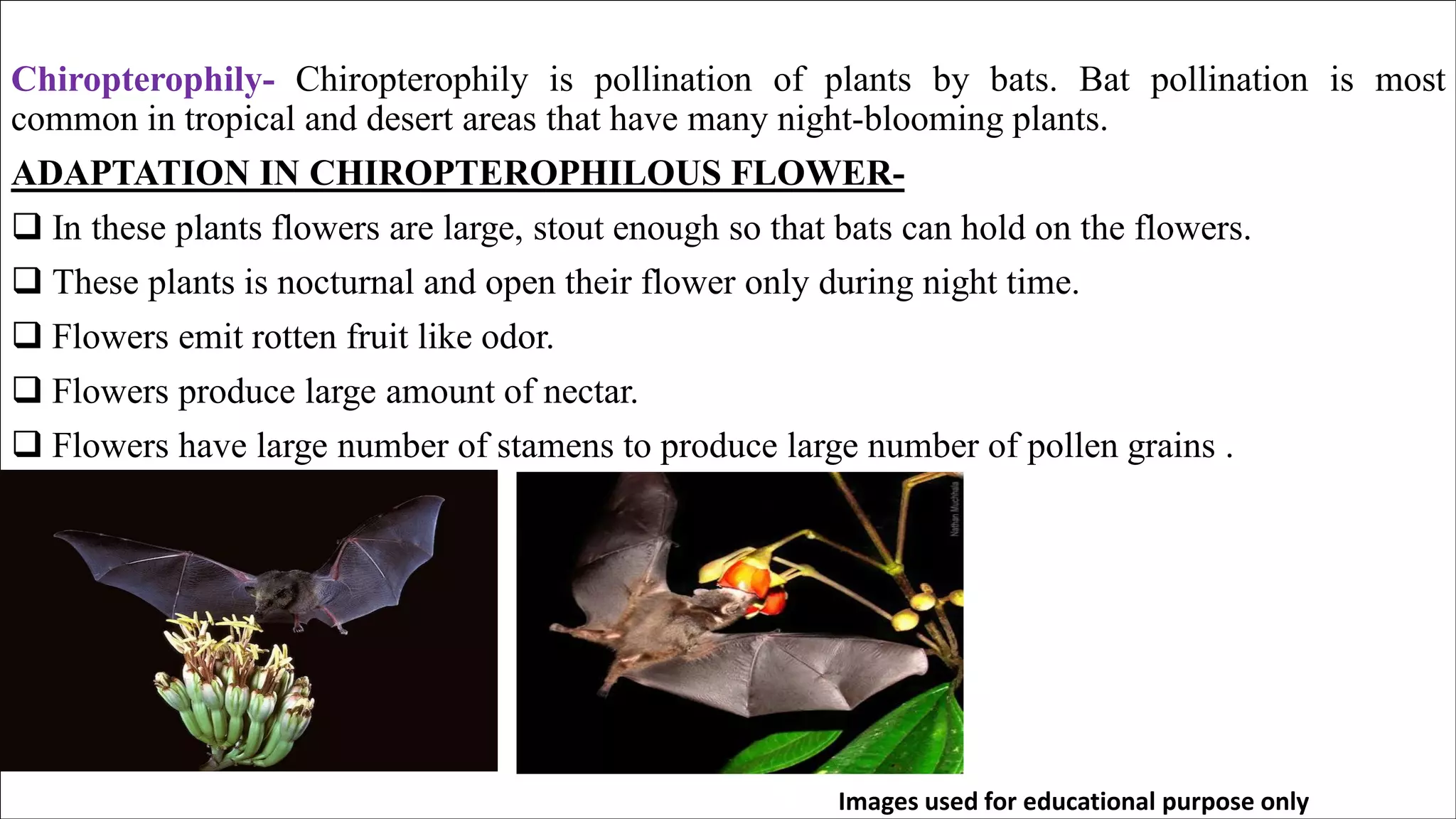 1. Reproduction in Lower and higher plants | PDF