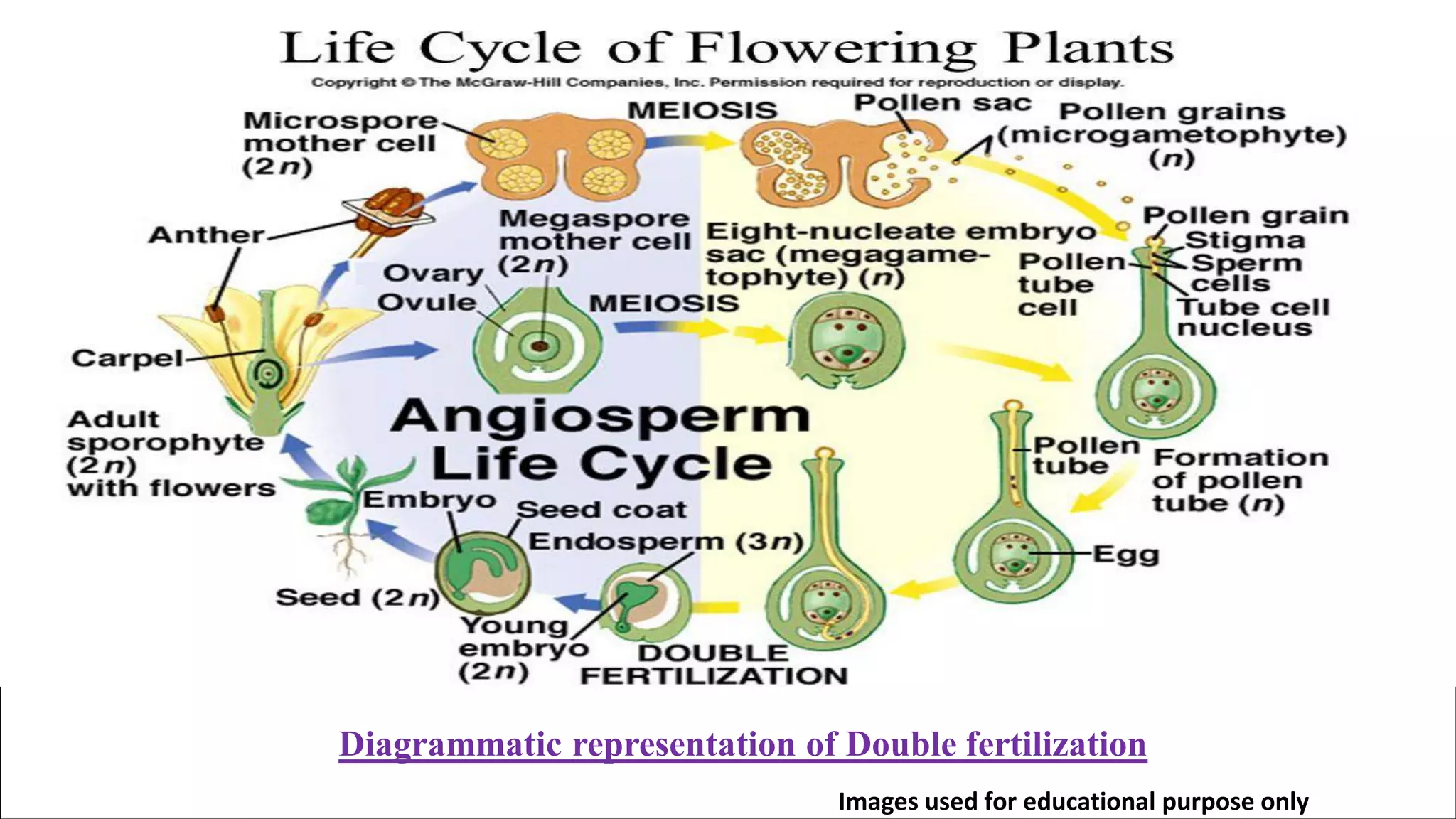 1. Reproduction in Lower and higher plants | PDF
