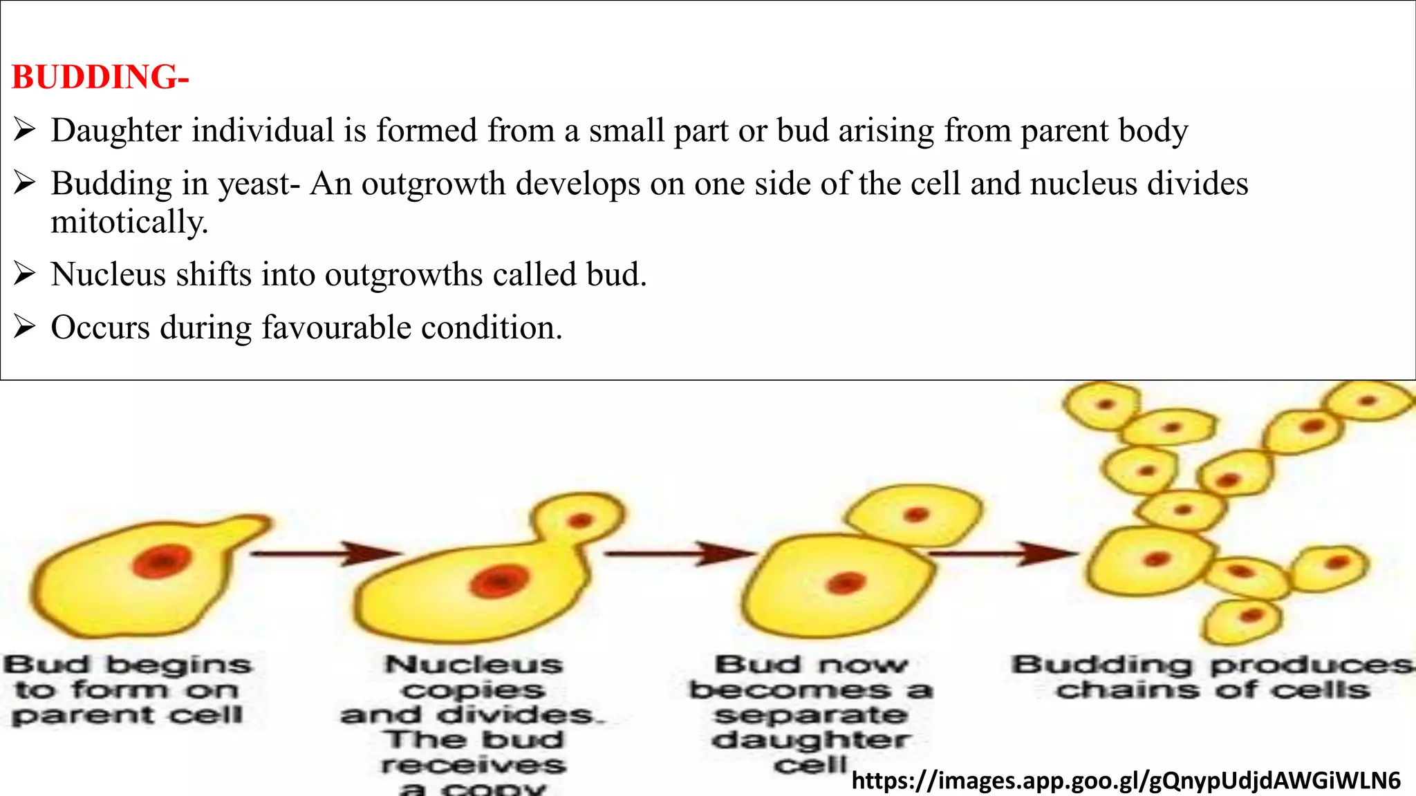 1. Reproduction in Lower and higher plants | PDF