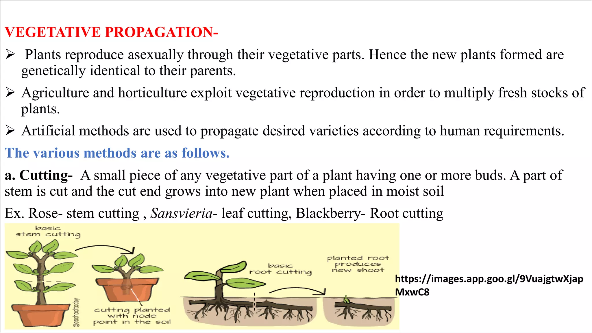 1. Reproduction in Lower and higher plants | PDF
