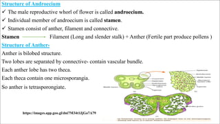1. Reproduction in Lower and higher plants | PDF