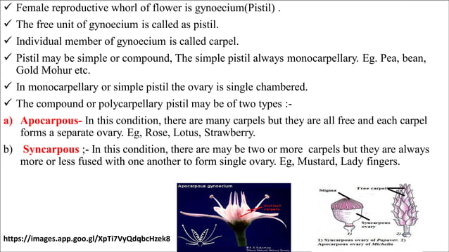 1. Reproduction in Lower and higher plants | PDF