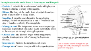 1. Reproduction in Lower and higher plants | PDF