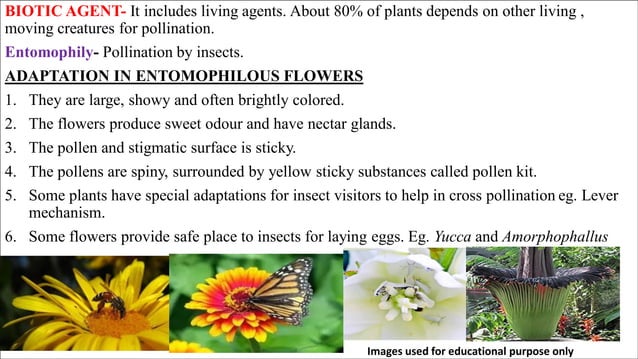 1. Reproduction in Lower and higher plants | PDF