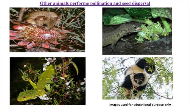 1. Reproduction in Lower and higher plants | PDF