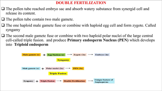 1. Reproduction in Lower and higher plants | PDF