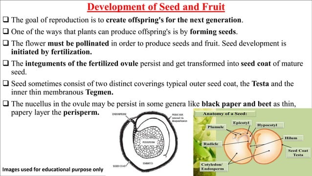 1. Reproduction in Lower and higher plants | PDF