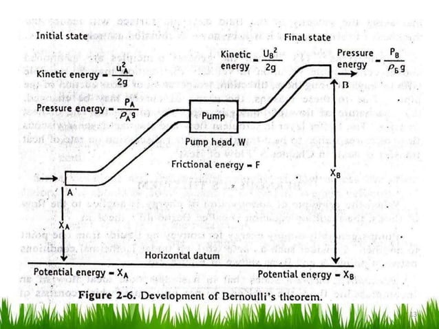 flow of fluids | PPTX | Physics | Science