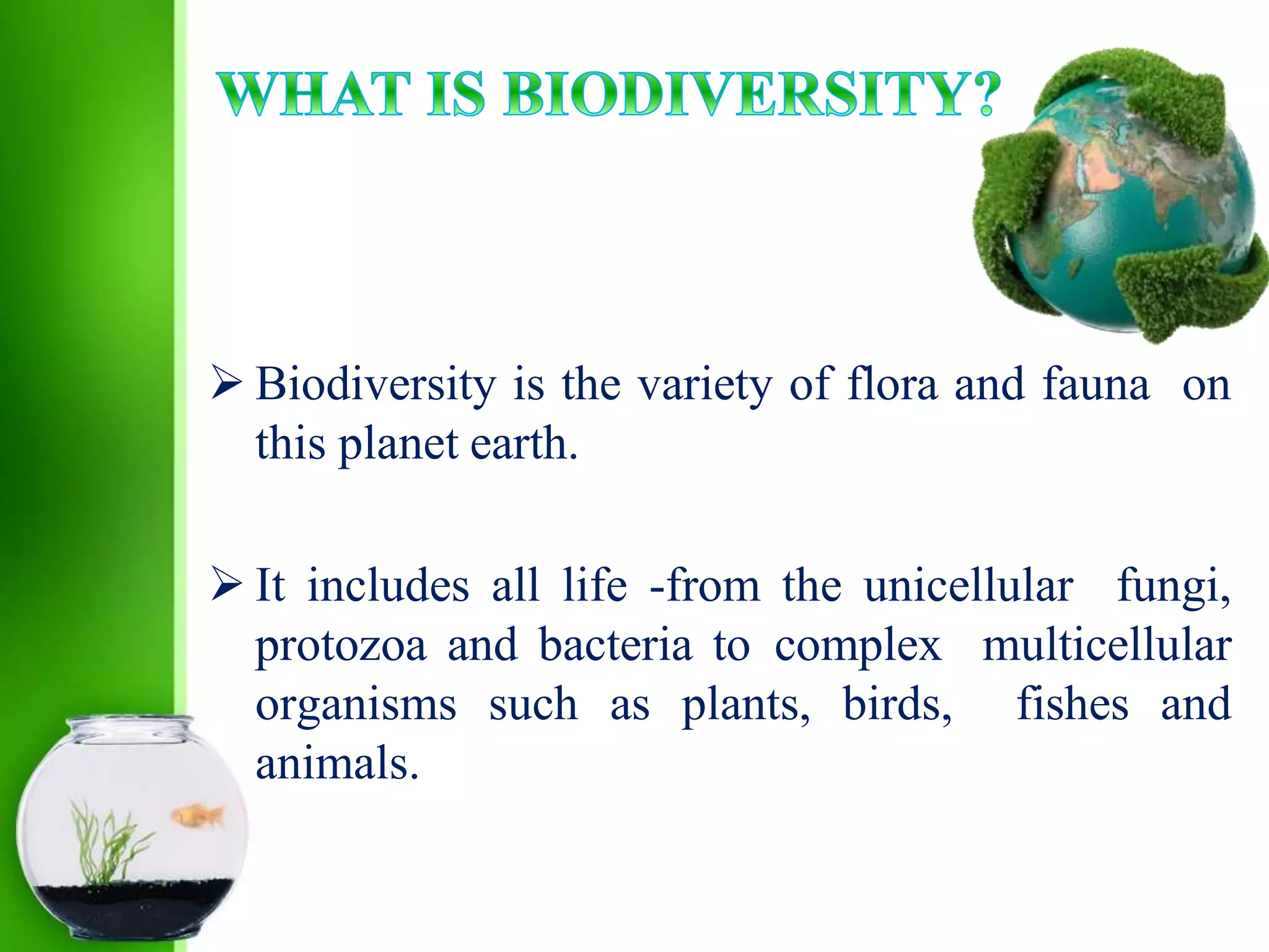 Biodiversity concept, types & its values | PPTX