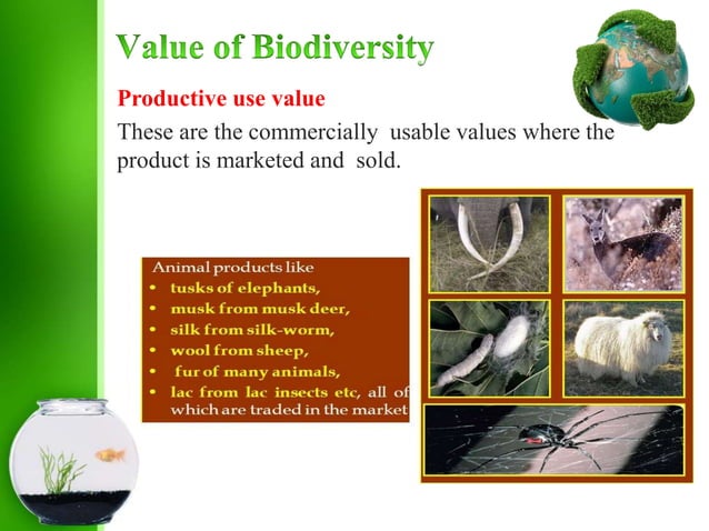 Biodiversity concept, types & its values | PPTX