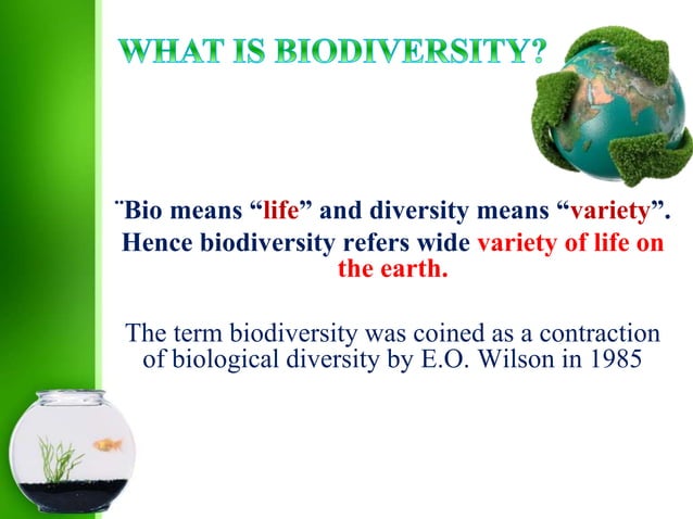 Biodiversity concept, types & its values | PPTX