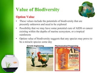 Biodiversity concept, types & its values | PPTX