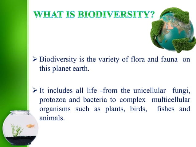 Biodiversity concept, types & its values | PPTX