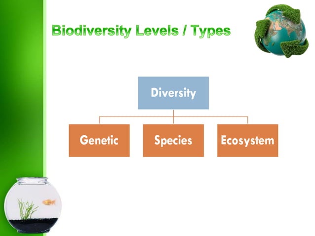 Biodiversity concept, types & its values | PPTX