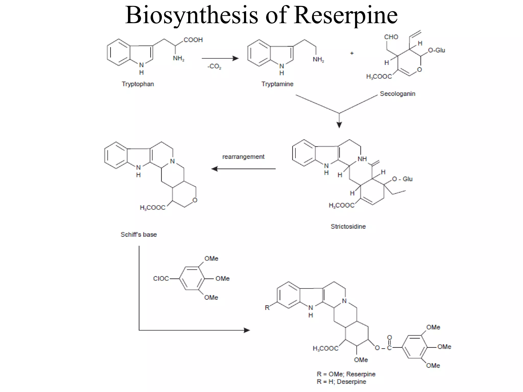 Biosynthetic_Pathways | PPTX