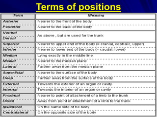 1. cpp introduction to anatomy 2020 Dr.Gamal | PPT