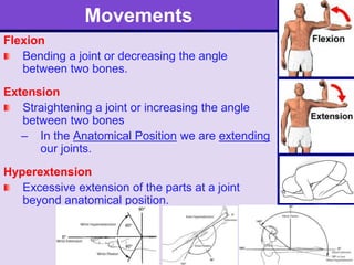 1. cpp introduction to anatomy 2020 Dr.Gamal | PPT