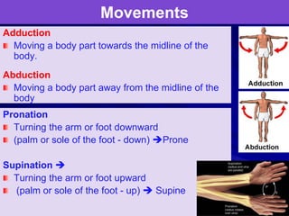 1. cpp introduction to anatomy 2020 Dr.Gamal | PPT