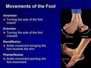 1. cpp introduction to anatomy 2020 Dr.Gamal | PPT
