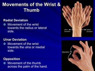 1. cpp introduction to anatomy 2020 Dr.Gamal | PPT