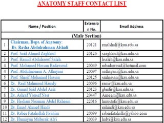 1. cpp introduction to anatomy 2020 Dr.Gamal | PPT