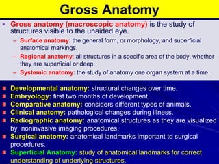 1. cpp introduction to anatomy 2020 Dr.Gamal | PPT