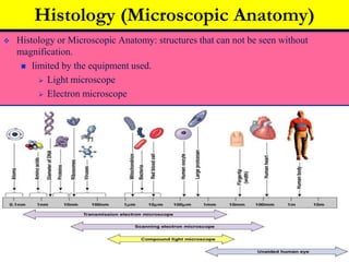1. introduction to histology 2020 | PPT