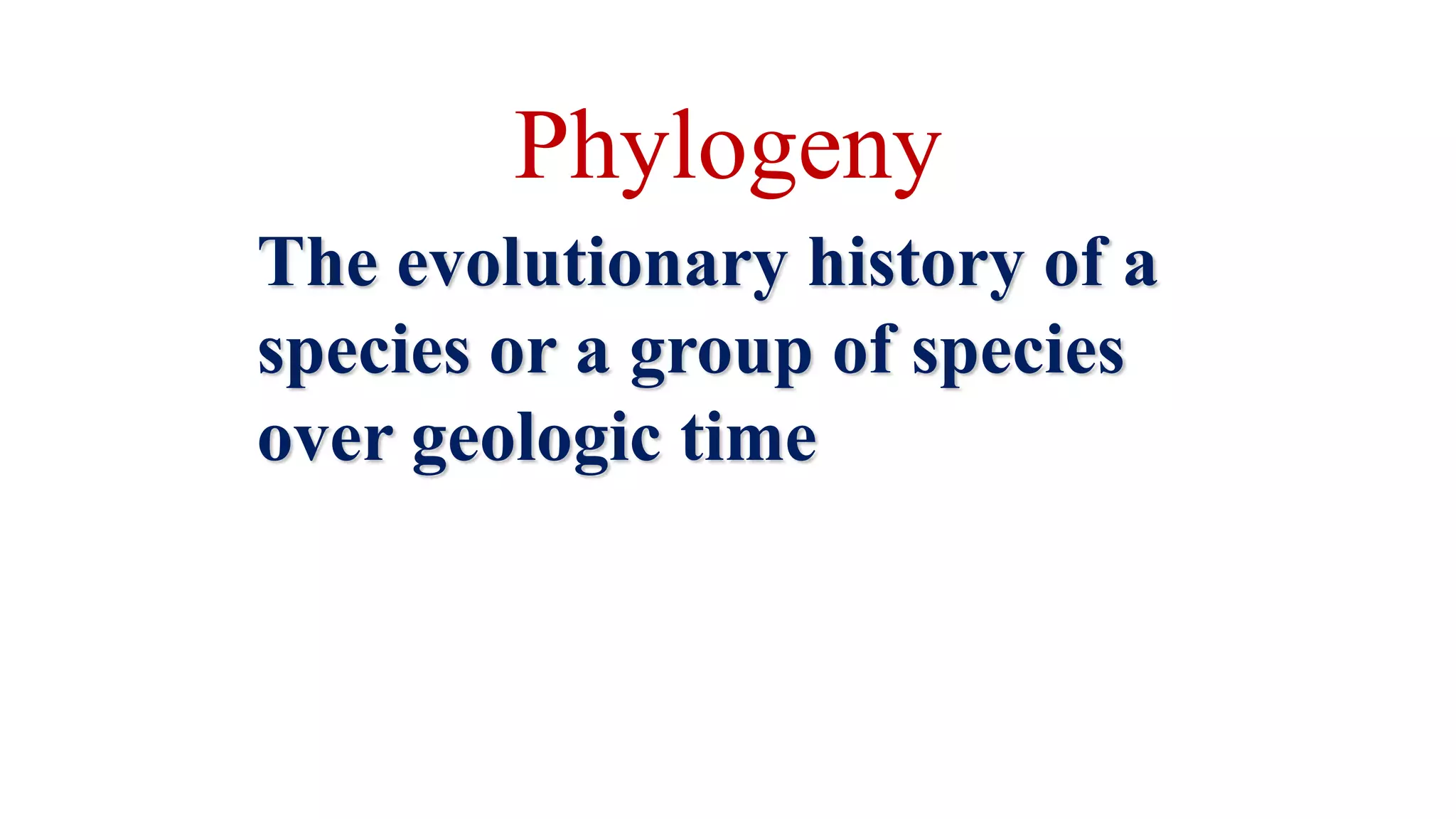 1. 1st lec. introd; classification, phylogeny, tree diagrams and ...