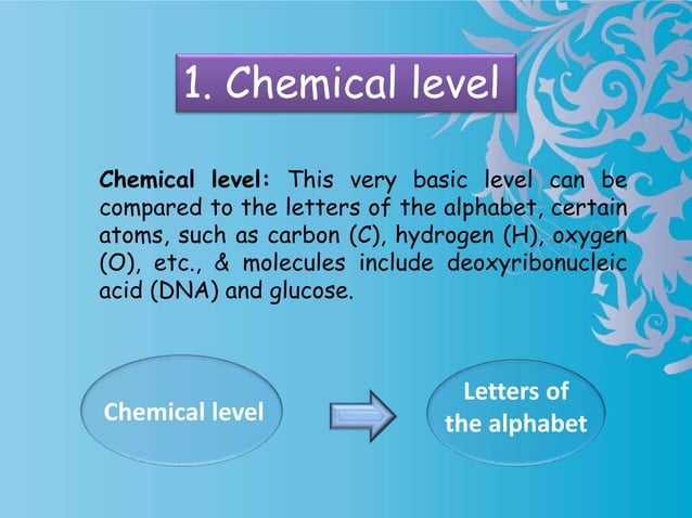 Levels of structural organization | PPT