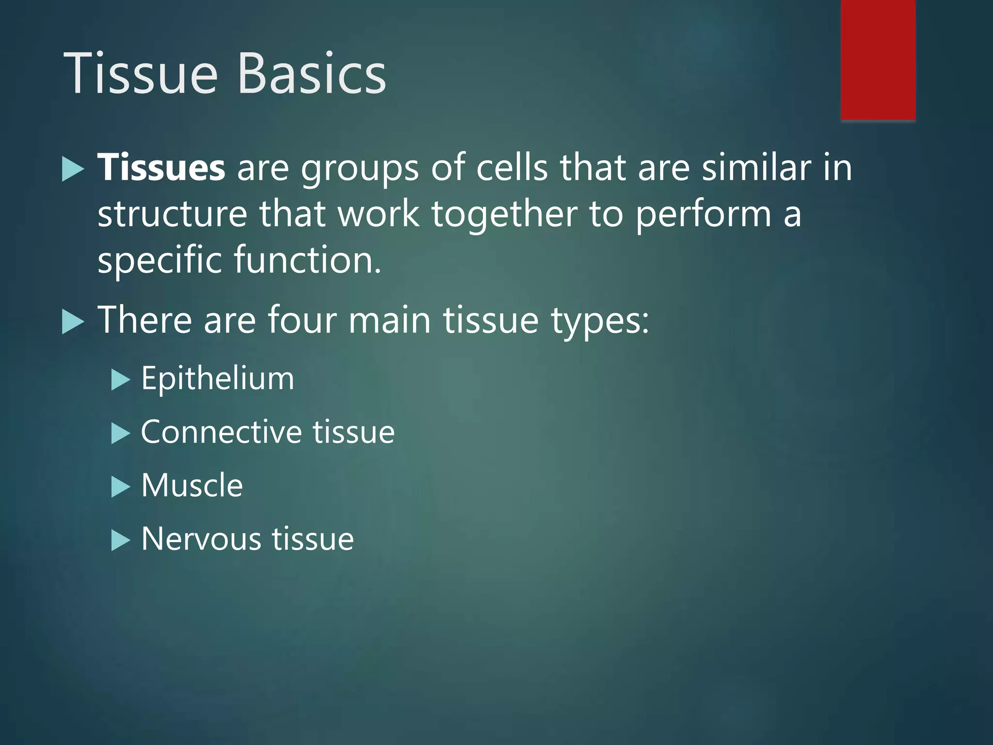 1.2.1.a body tissues hbs | PPT