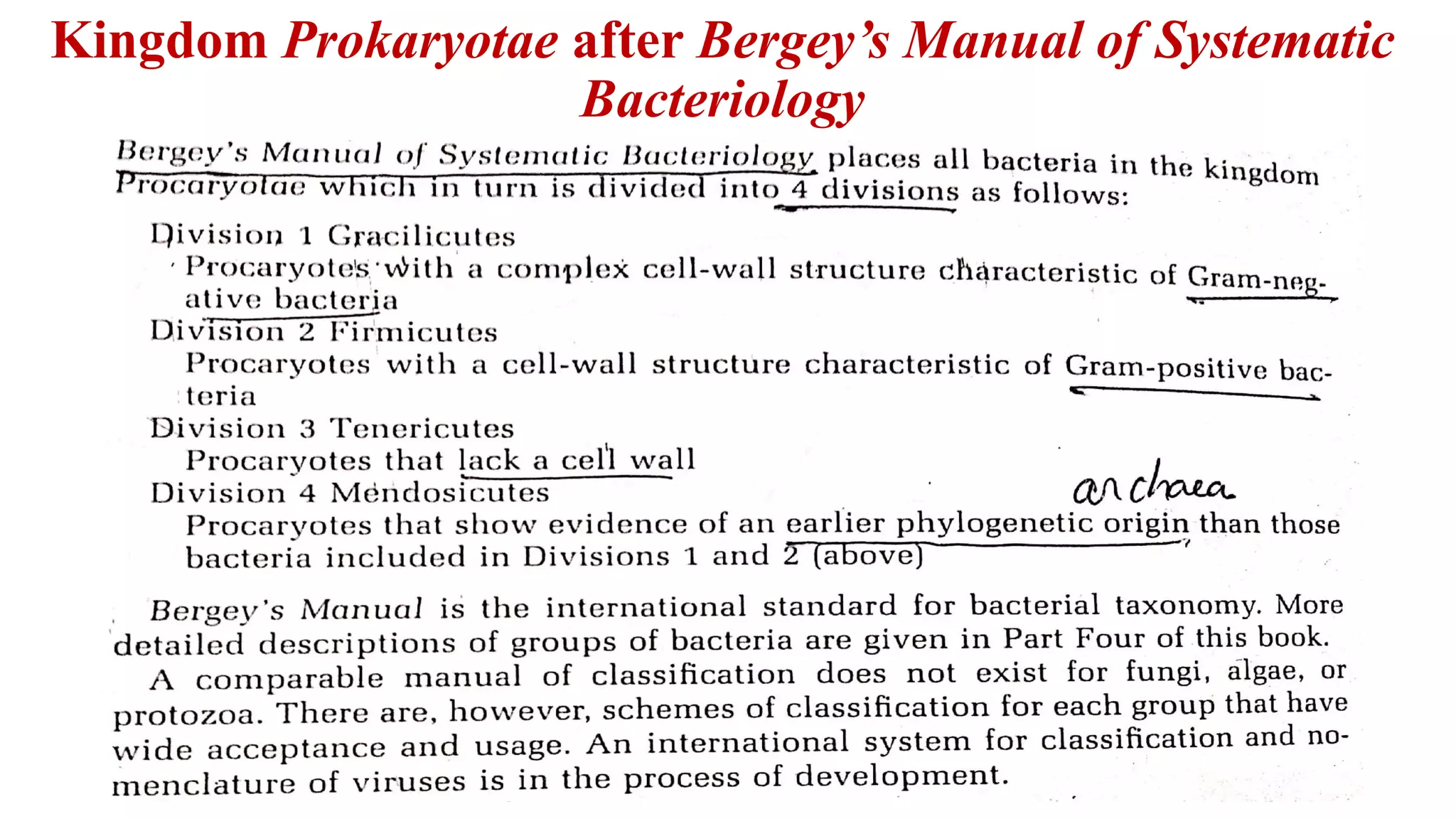 1. bacteria and prokaryotes | PPT
