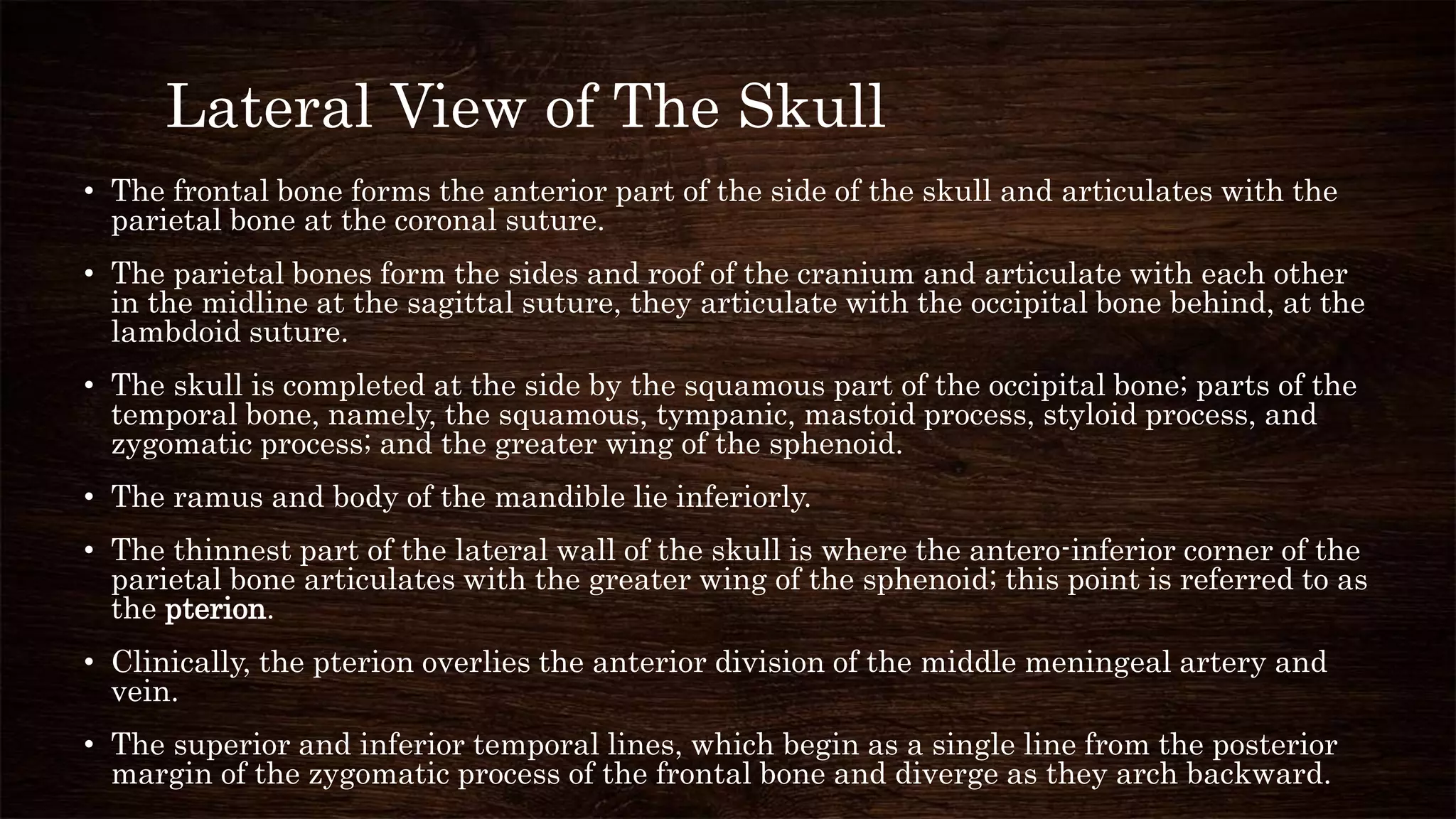 Basic Skull Anatomy | PPTX