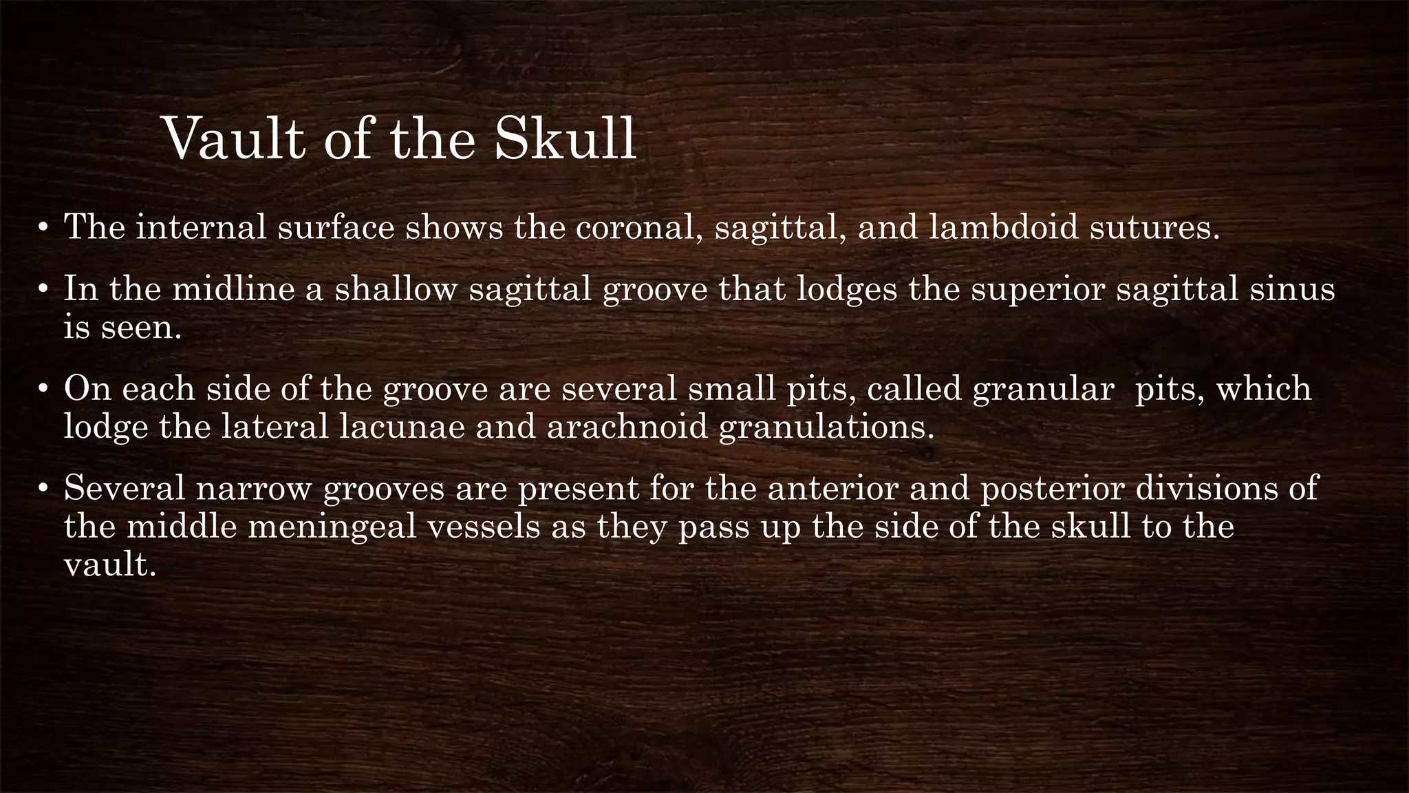 Basic Skull Anatomy | PPTX