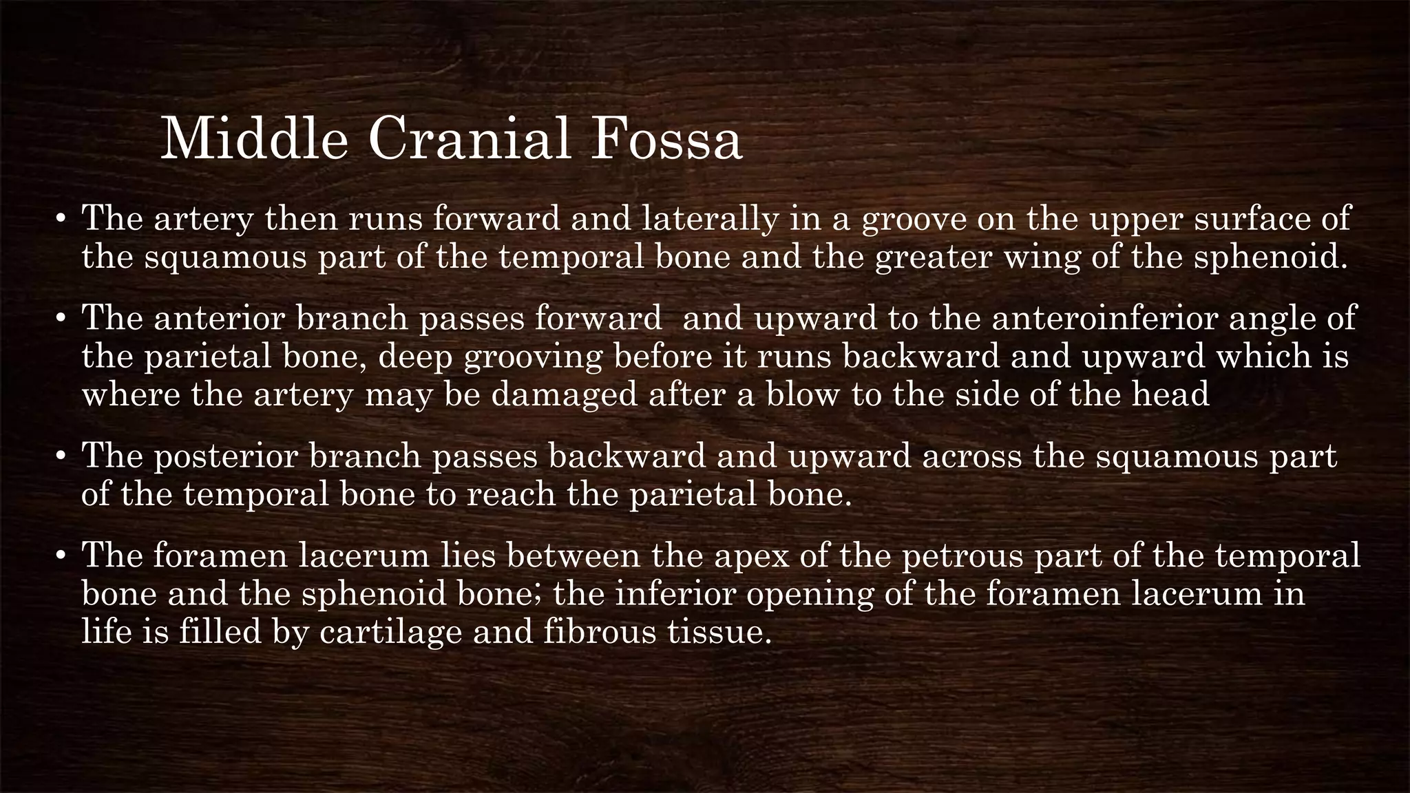Basic Skull Anatomy | PPTX