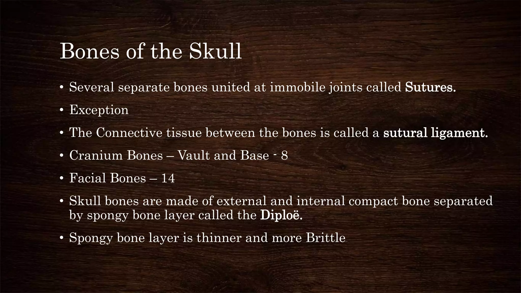 Basic Skull Anatomy | PPTX