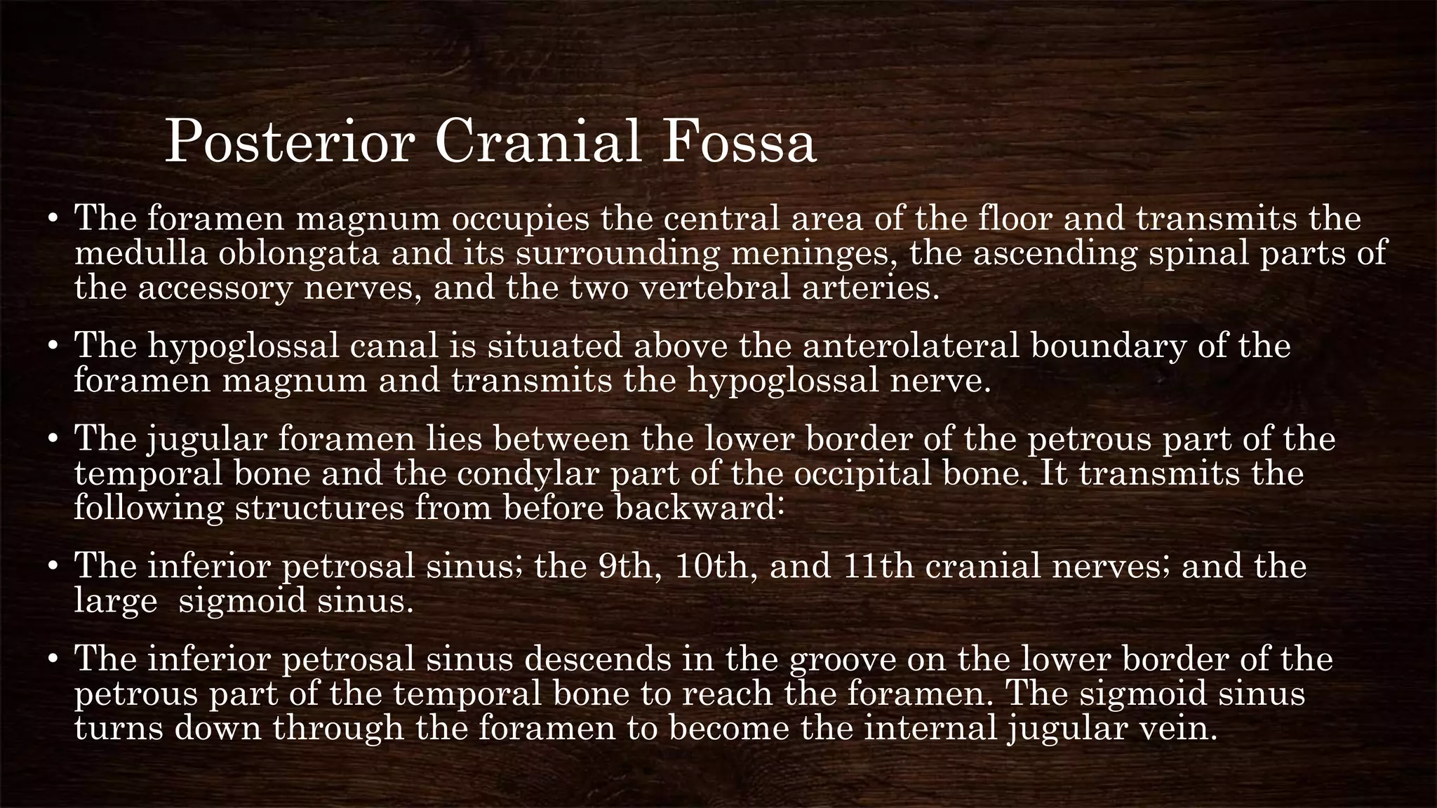 Basic Skull Anatomy | PPTX