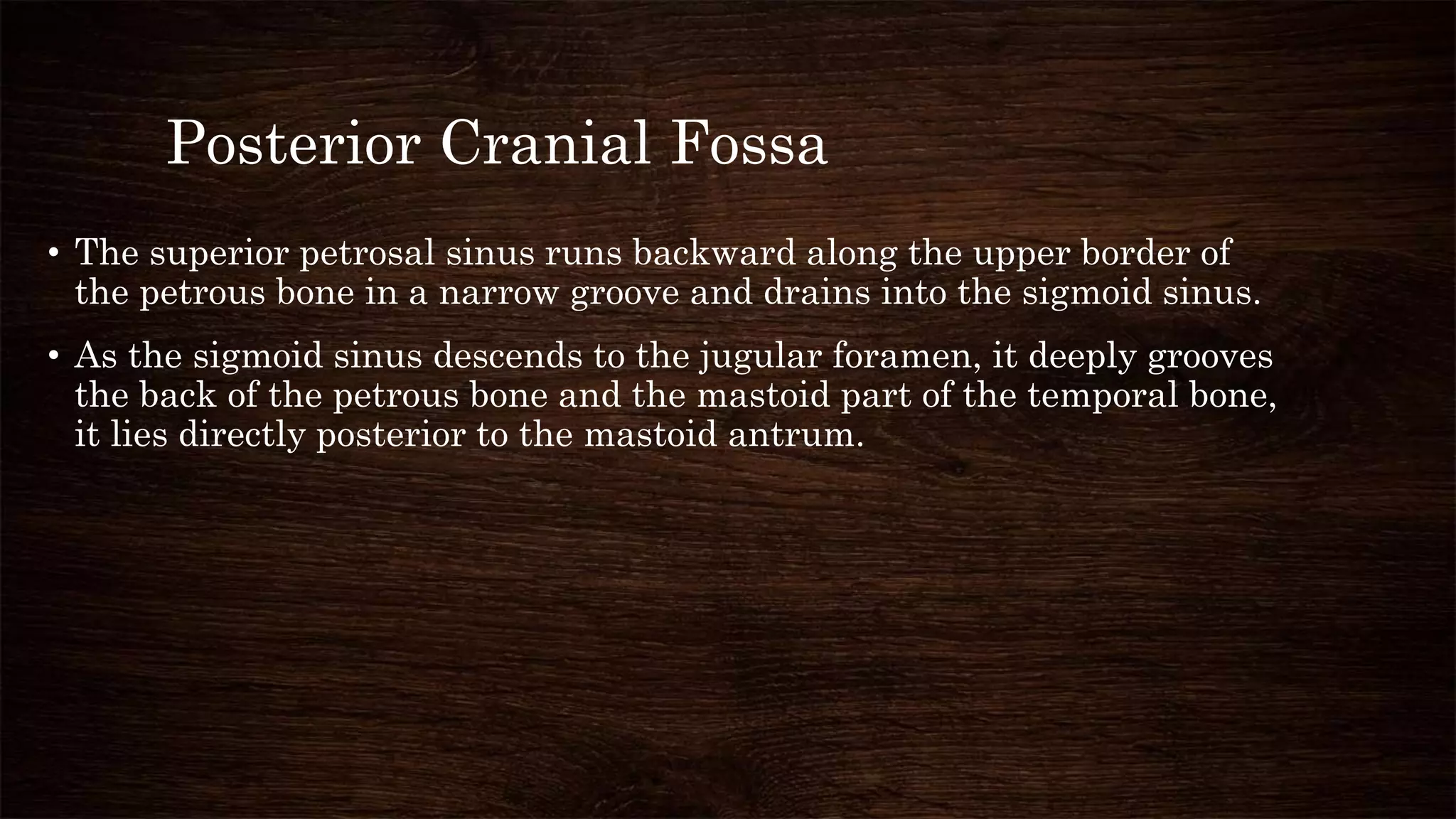 Basic Skull Anatomy | PPTX