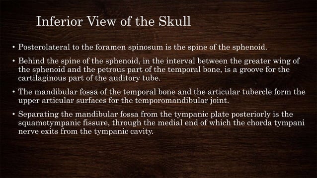 Basic Skull Anatomy | PPTX