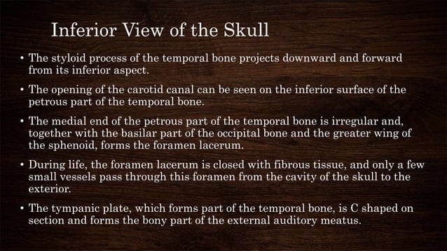 Basic Skull Anatomy | PPTX