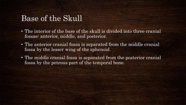 Basic Skull Anatomy | PPTX