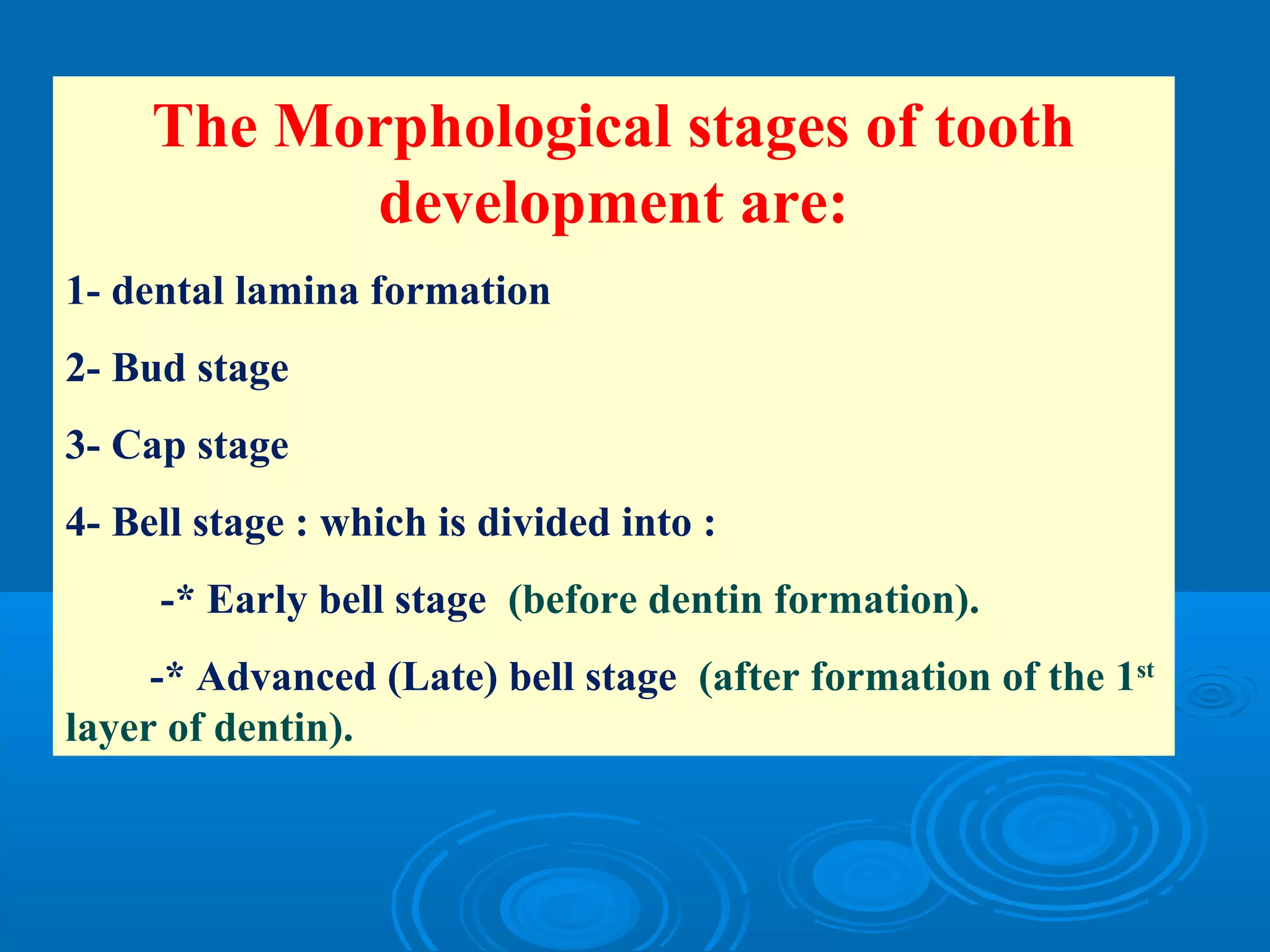 Oral Histology "tooth development" | PPT