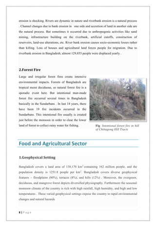 Major domestic environmental problems of bangladesh by syekat | PDF