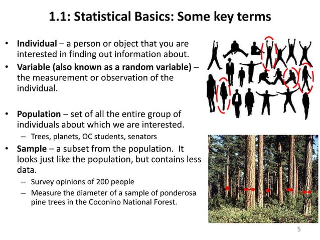 1.1 intro to statistics | PPTX | Science