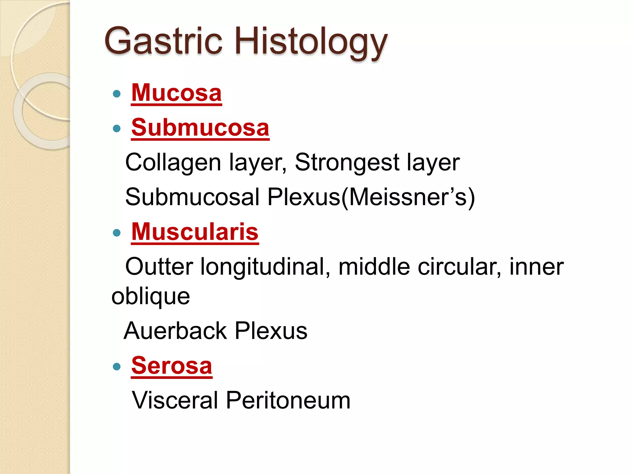 1.1 stomach and duodenum | PPT
